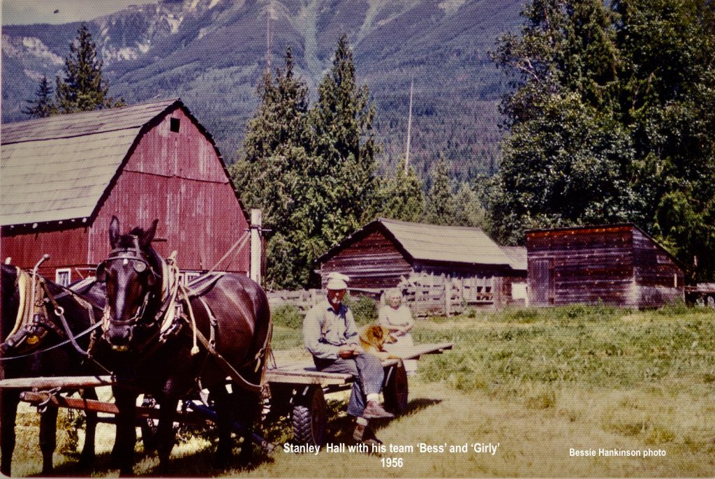 Stanley Hall avec des chevaux, 1956 | Ce qui se cache sous la surface